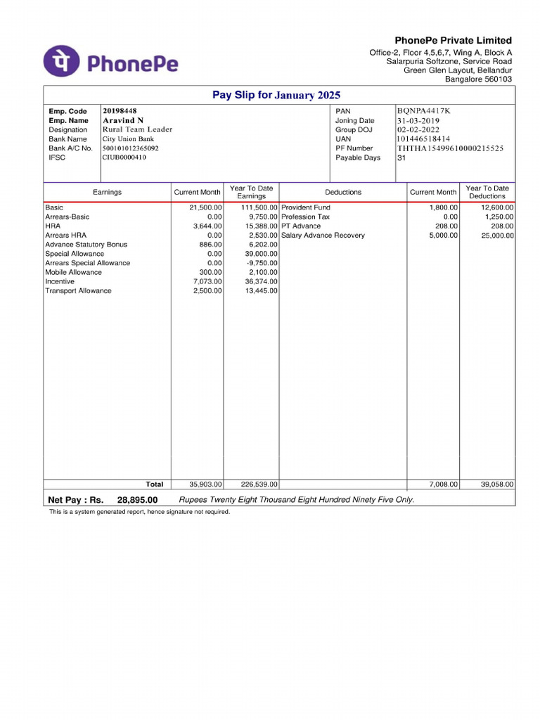Payslip January 2025 | PDF