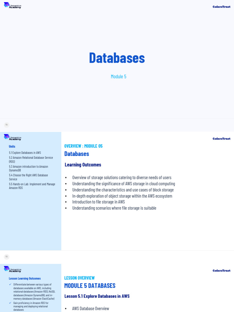 ACTE Module 5 Resource | PDF | Computing | Information Technology Management