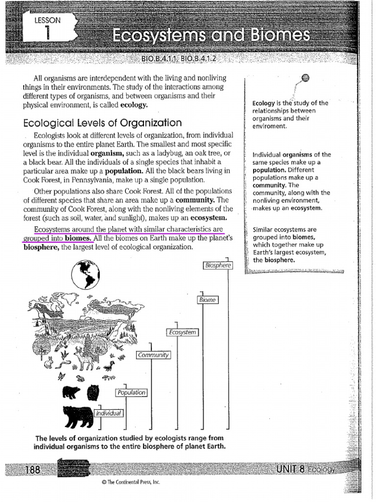 Keystone Ecosystems and Biomes Reading | PDF