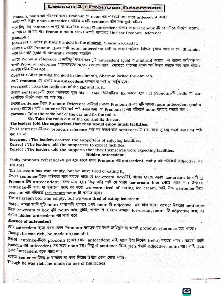 Pronoun Reference | PDF