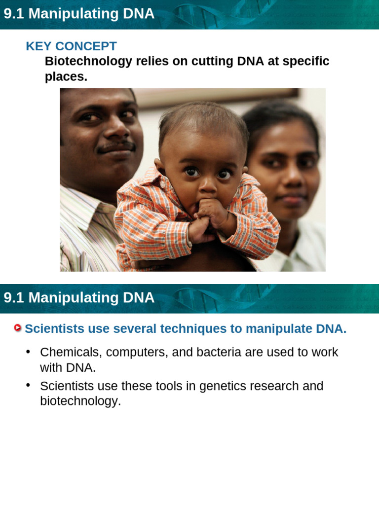 Biotechnology Relies On Cutting DNA at Specific Places.: Key Concept | PDF
