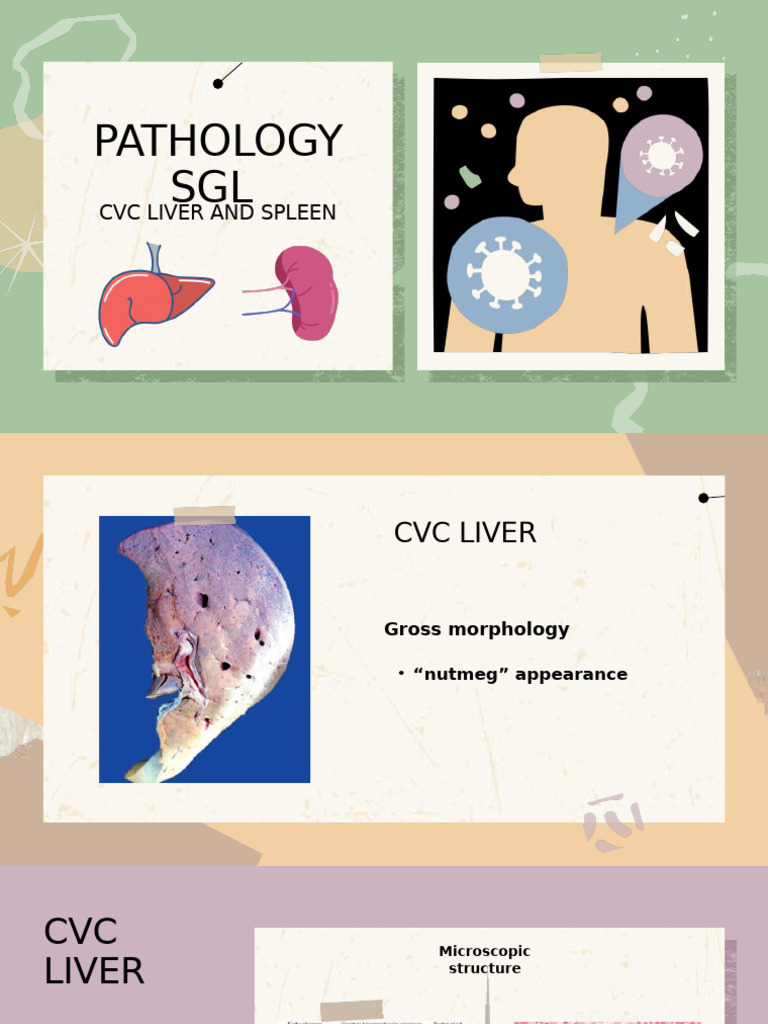 Liver and Spleen Pathology Overview | PDF