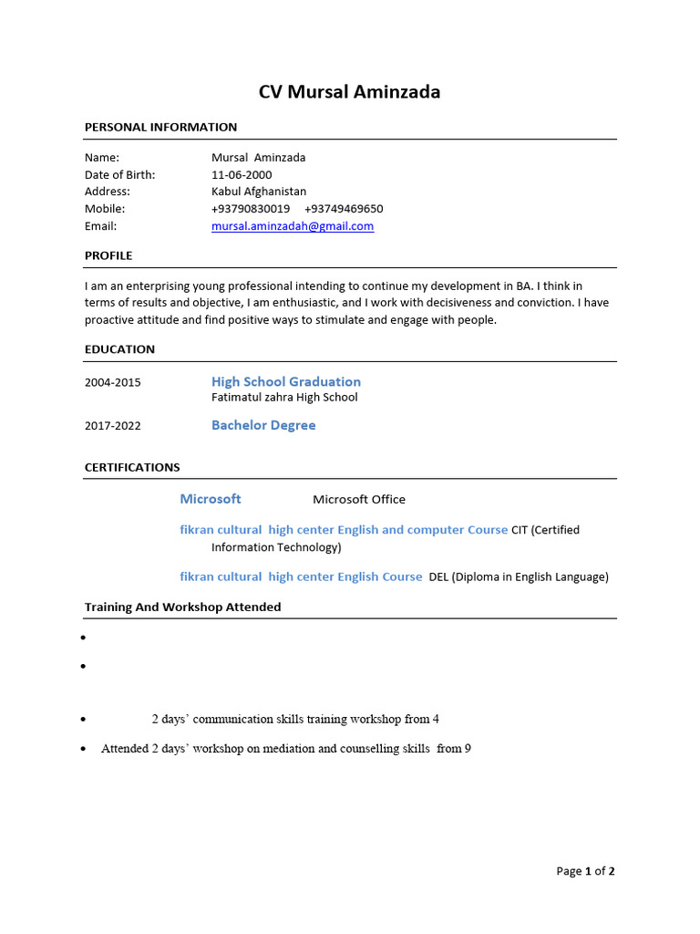 CV_mursal_Aminzada[1] | PDF