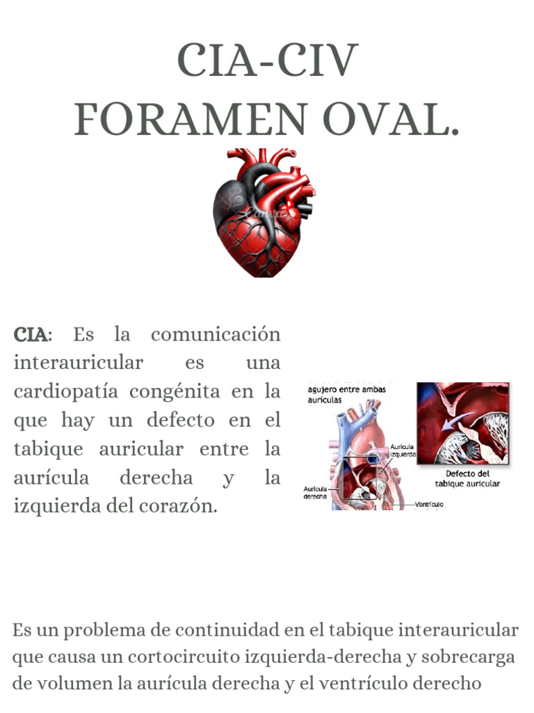 CIA Civ For Amen | PDF