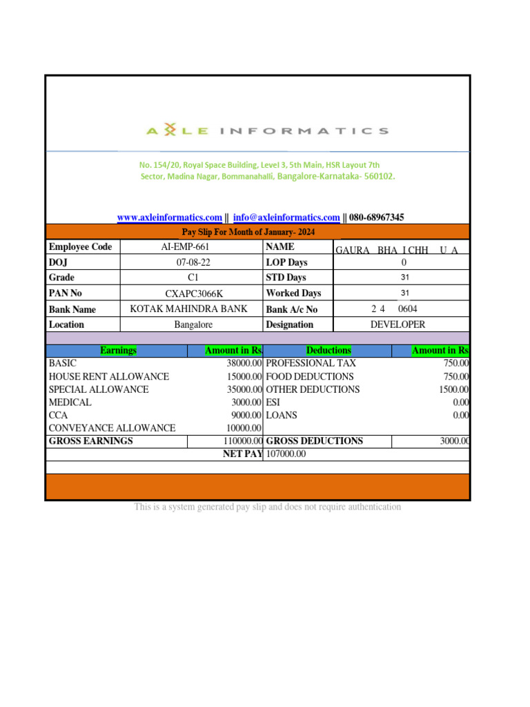 Documen Pay Slip January | PDF