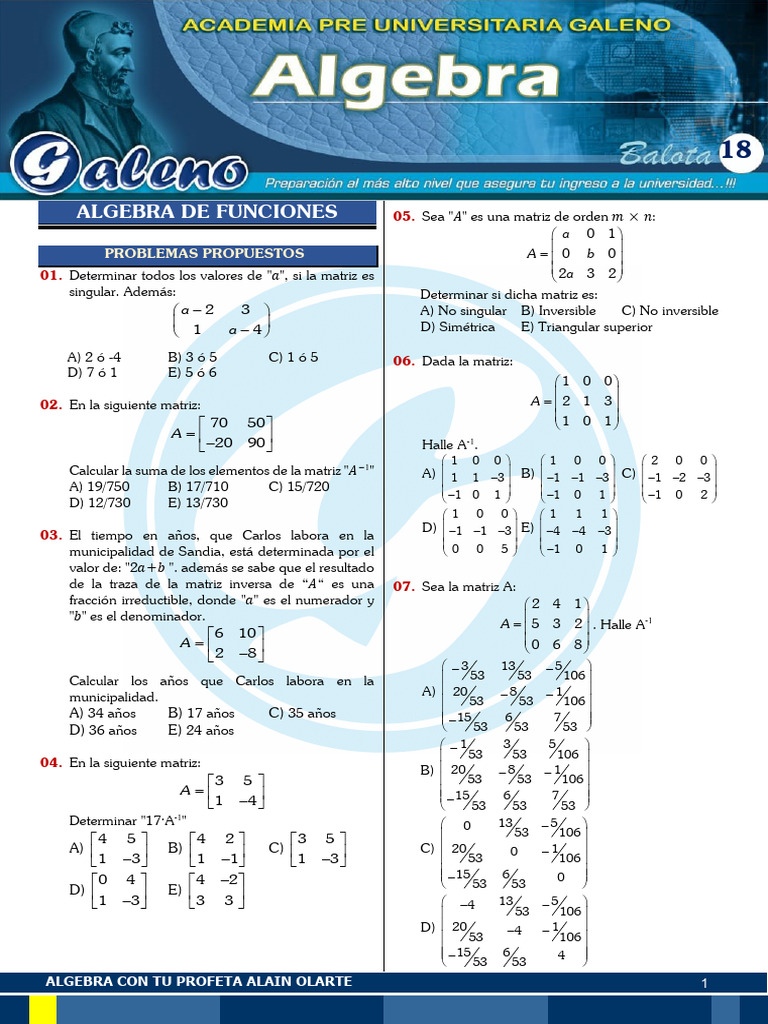 SEMANA 18 Algebra de Funciones ANUAL II 2024 | PDF | Física Matemática | Funciones y mapeos