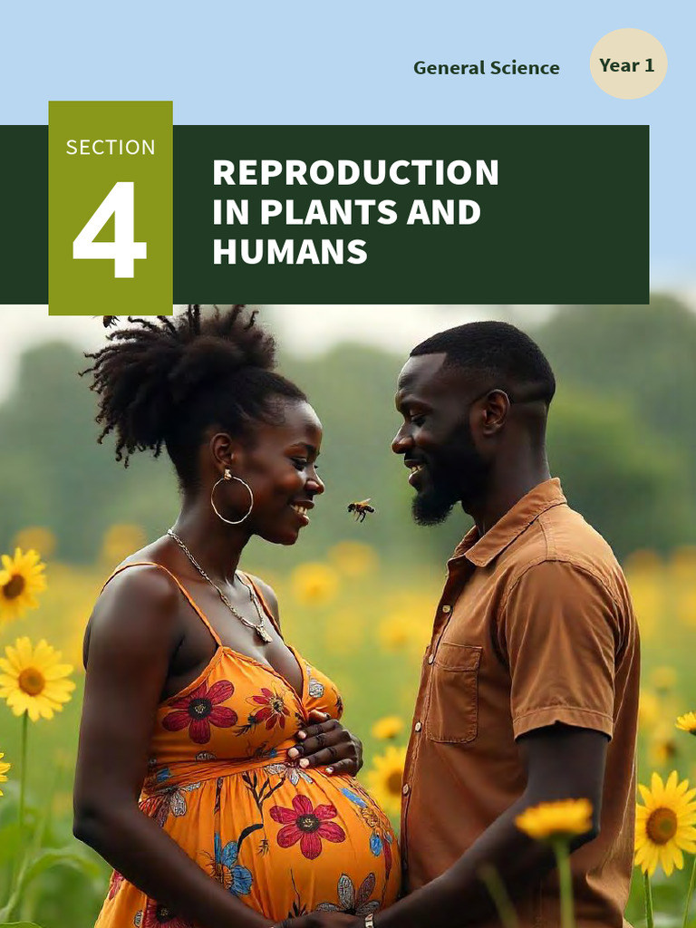 Plant and Human Reproduction Overview | PDF | Menstrual Cycle | Grafting