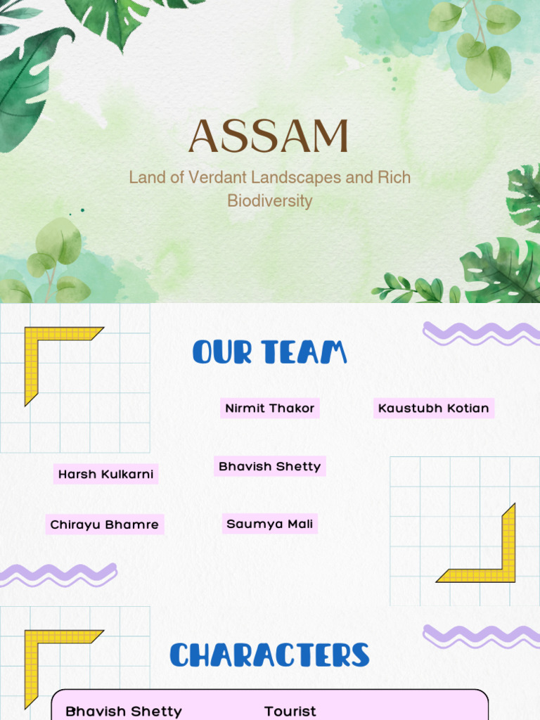 Assam: A Tourist's Adventure | PDF