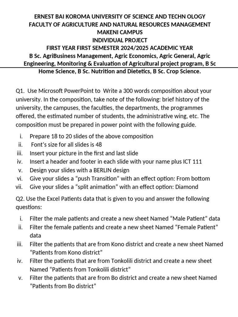 Ict 111 Individual Practical Project | PDF