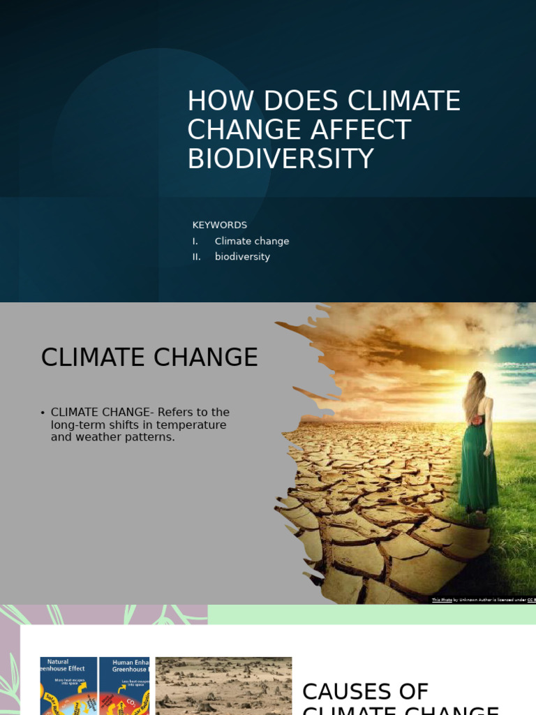 How Does Climate Change Affect Biodiversity | PDF