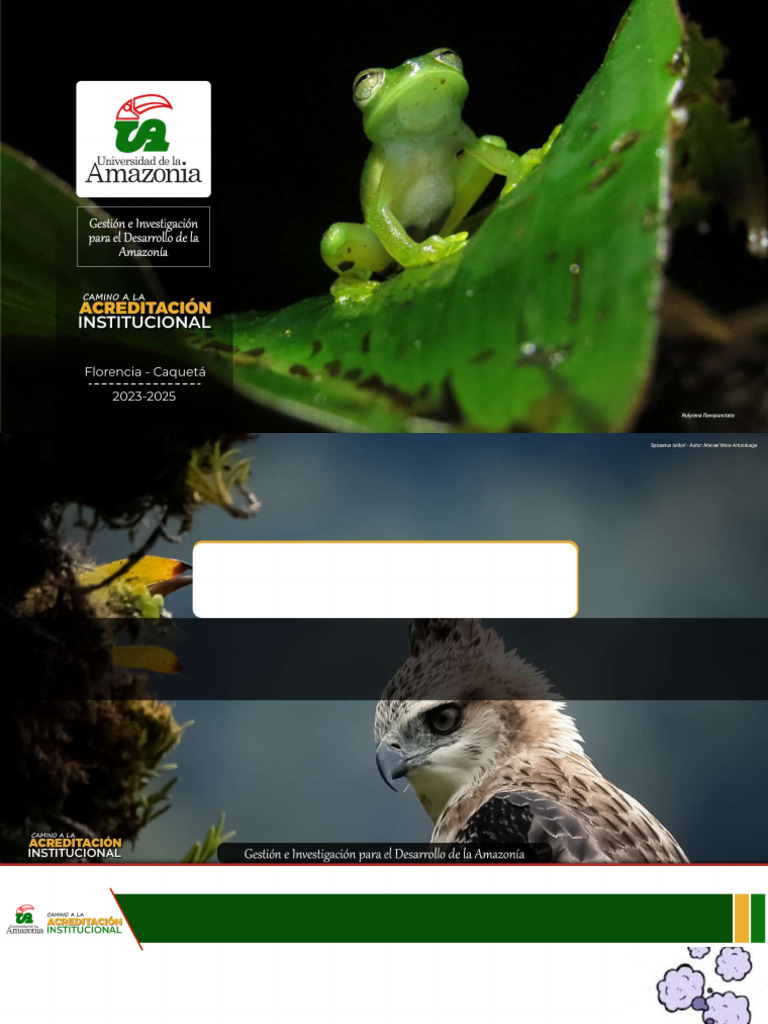 LMEA2025-1Rojas, Elena Chinde, Luisa | PDF | Mole (Unit) | Concentration