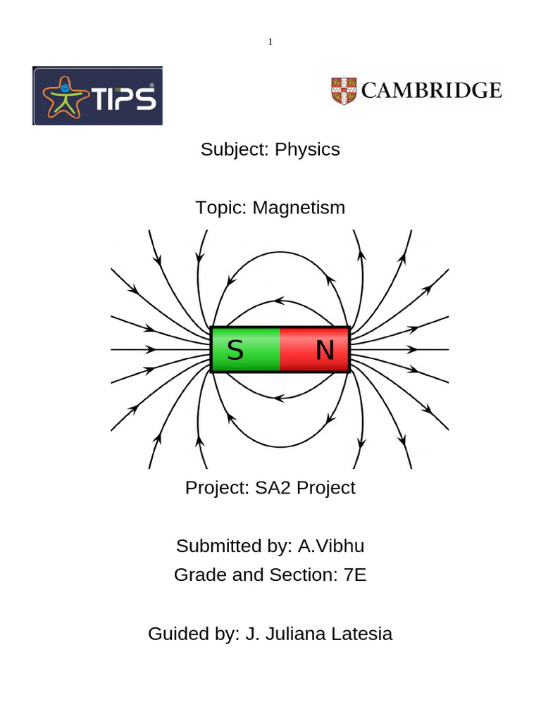 Physics SA2 Project | PDF | Magnet | Magnetism