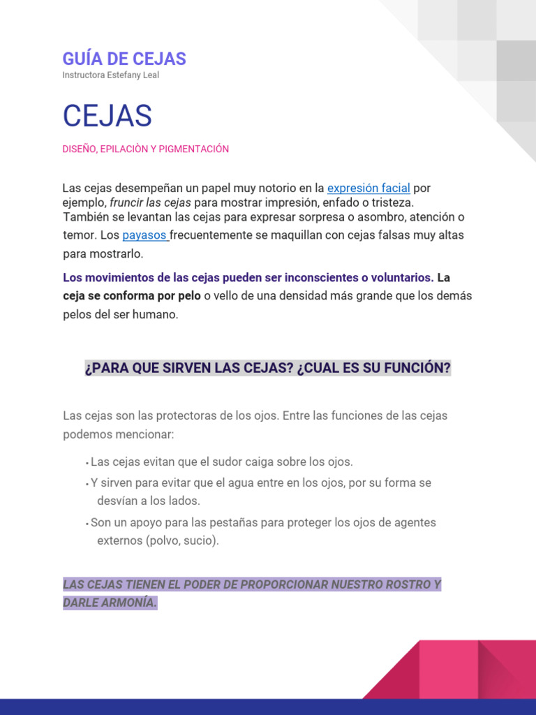 Guía de Cejas | PDF | Ceja