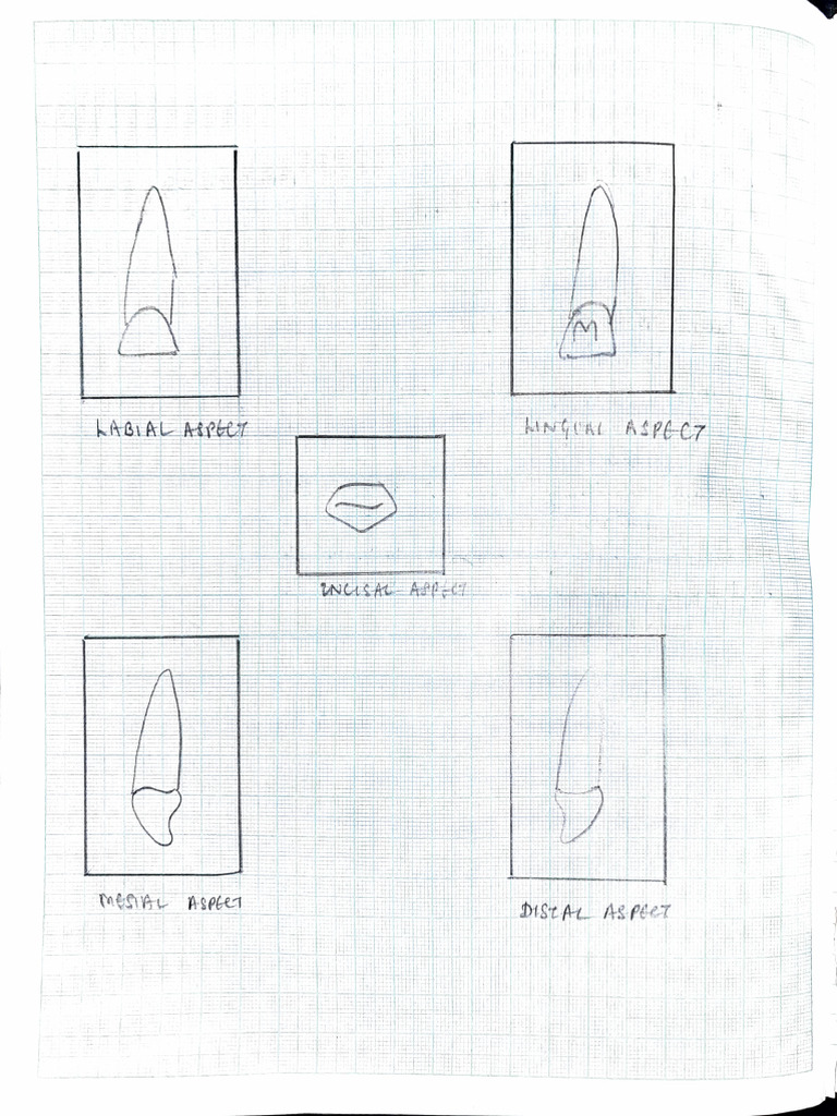 Graph file Pedo | PDF