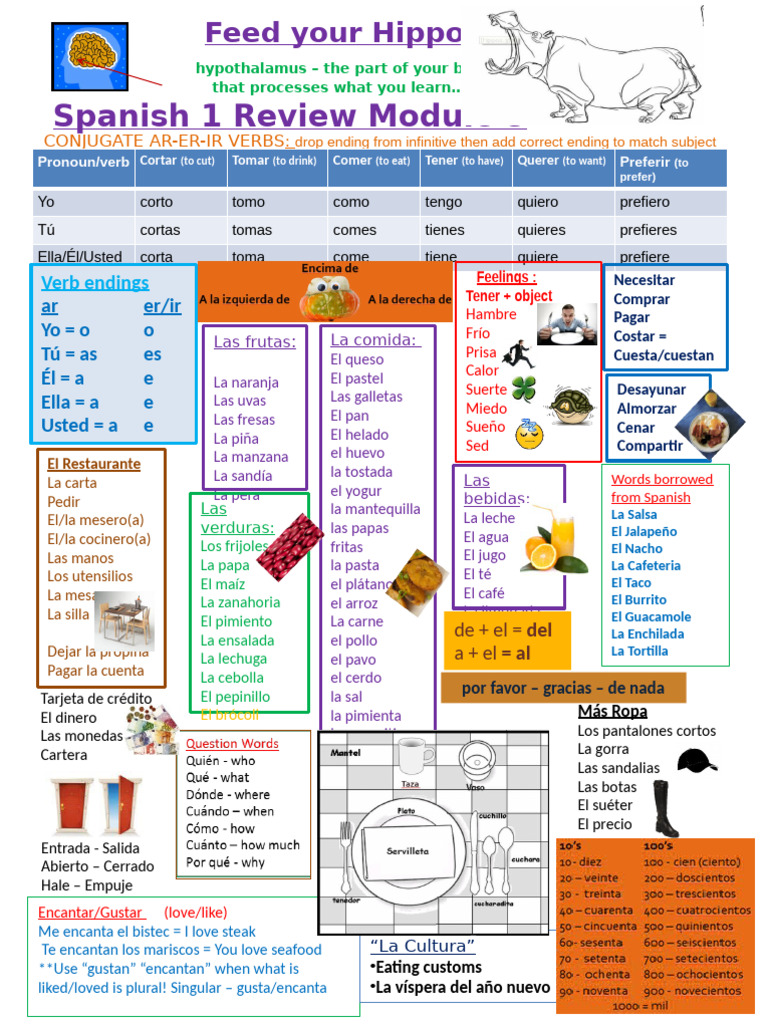Module 3 Hippo Spanish 1 (4533 v16) | PDF | Cocinando | Cocina