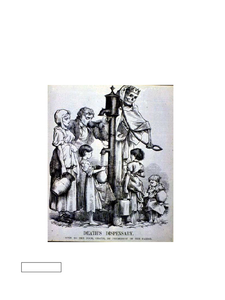 Urban Health Challenges in the 1800s | PDF
