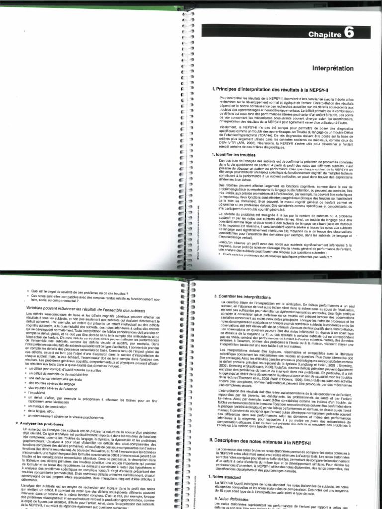 Interpretation Nepsy | PDF