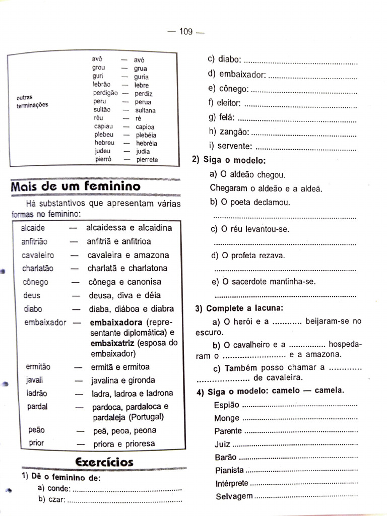 Exercício Subst Adj | PDF