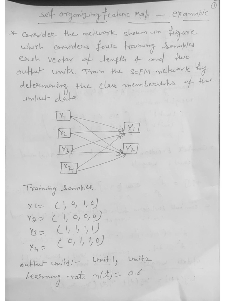 SOM Example | PDF