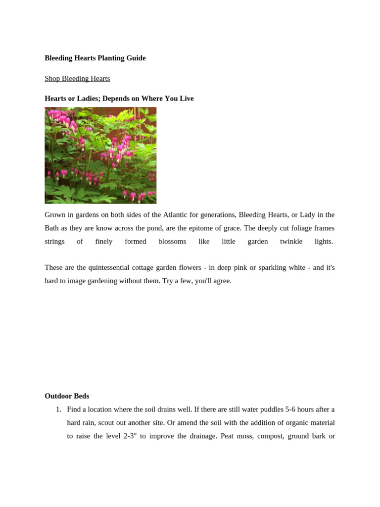 Bleeding Hearts Planting Guide | PDF | Soil | Plants