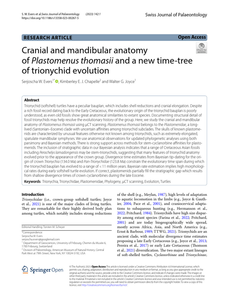Plastomenus Thomasii: Cranial and Mandibular Anatomy of and A New Time ...