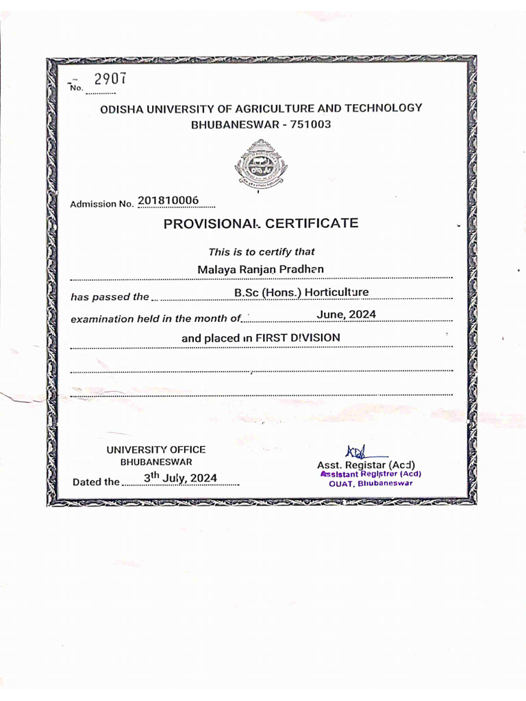 Document Rubber | PDF