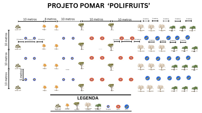 Medidas e Frutas do Projeto Pomar | PDF