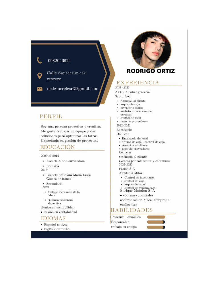 CV Rodrigo Ortiz @ | PDF