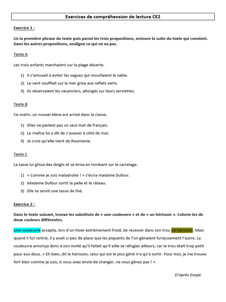 Exercices de compréhension CE2 | PDF