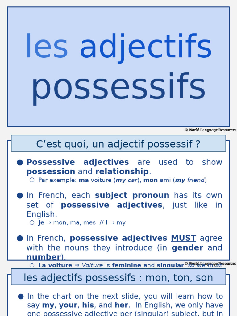 French Possessive Adjectives Guide | PDF | Grammatical Number ...