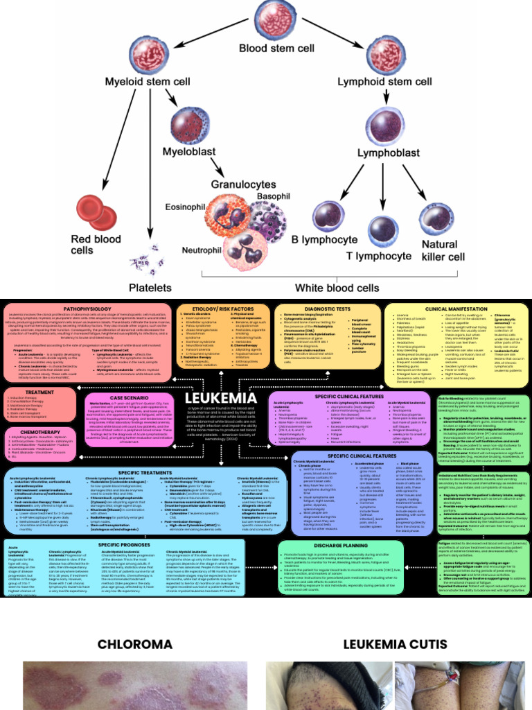 Leukemia: Pathophysiology & Case Study | PDF | Leukemia | Hematopoietic Stem Cell Transplantation