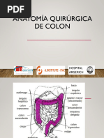 Irrigación e Inervación del Colon | PDF | Intestino grueso | Recto