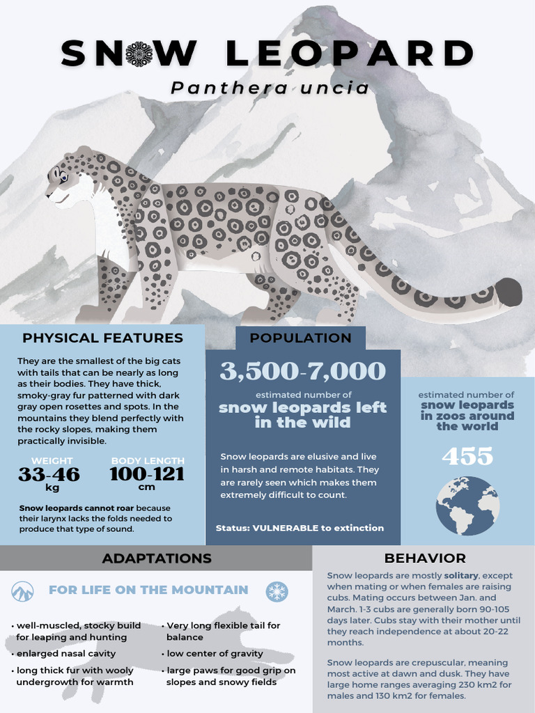 Downloadable Snow Leopard Fact Sheet | PDF | Leopard | Hunting