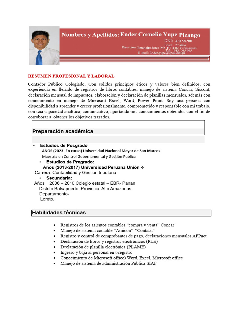 CV Ender Actualizado | PDF | Contabilidad | Contador