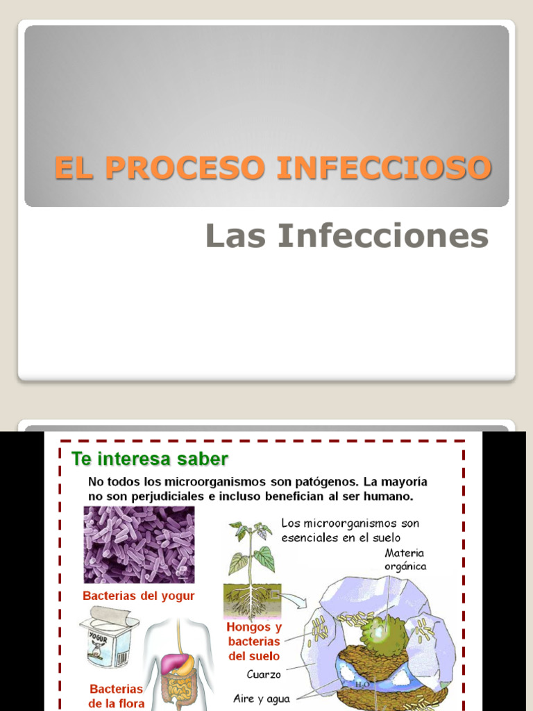 El Proceso Infeccioso - Tema 3 | PDF | Virus | Infección