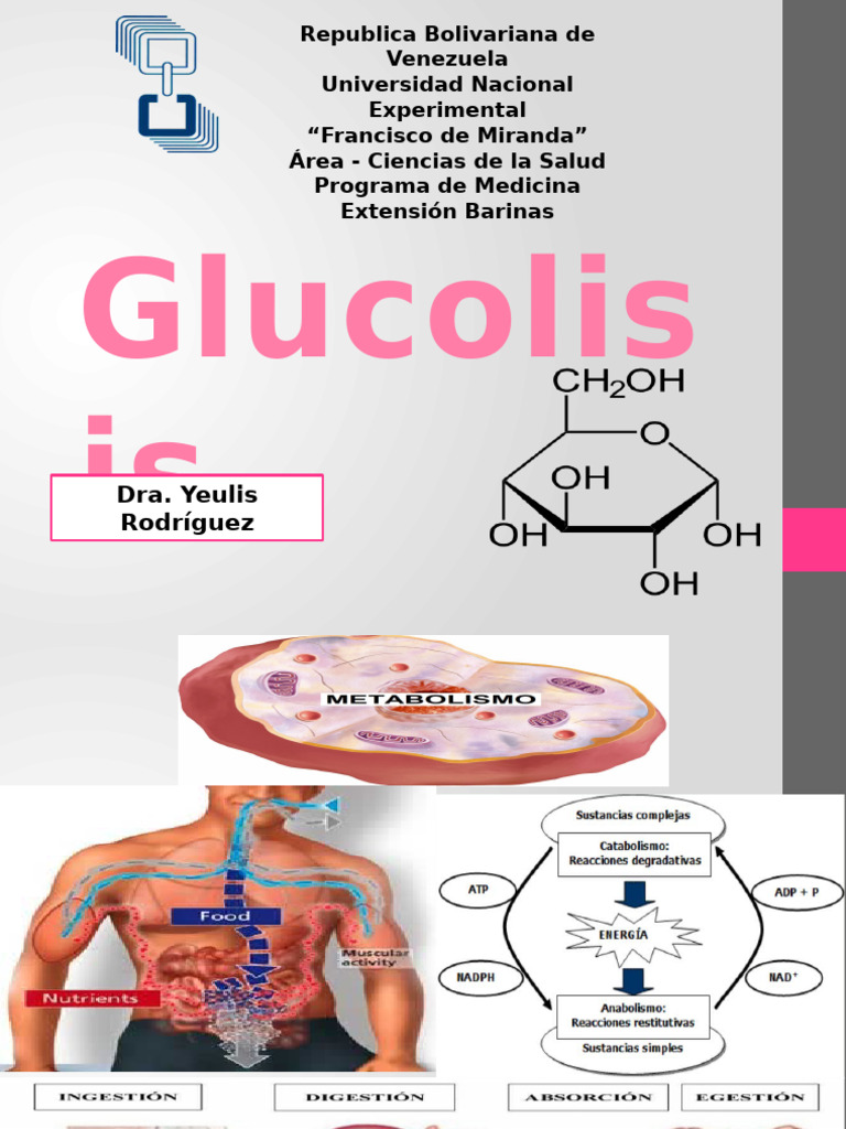 Glucólisis: Proceso y Etapas Detalladas | PDF | Glucólisis | Trifosfato ...