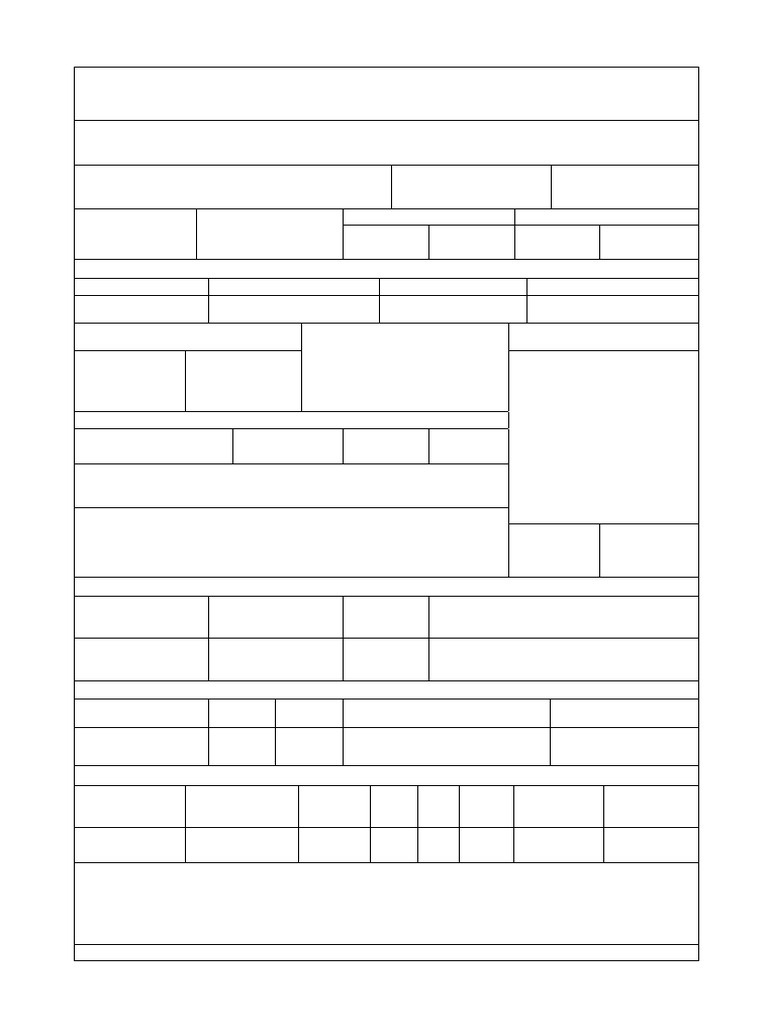 Japan Aircraft General Declaration Form | PDF | Airport | Transport