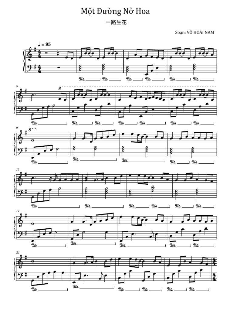 SoạN: Vo Hoai Nam | PDF