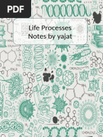 Life Processes Class 10 Notes | PDF