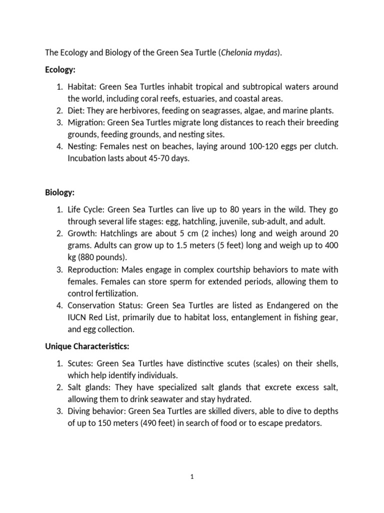 Janet | PDF | Sea Turtle | Turtle