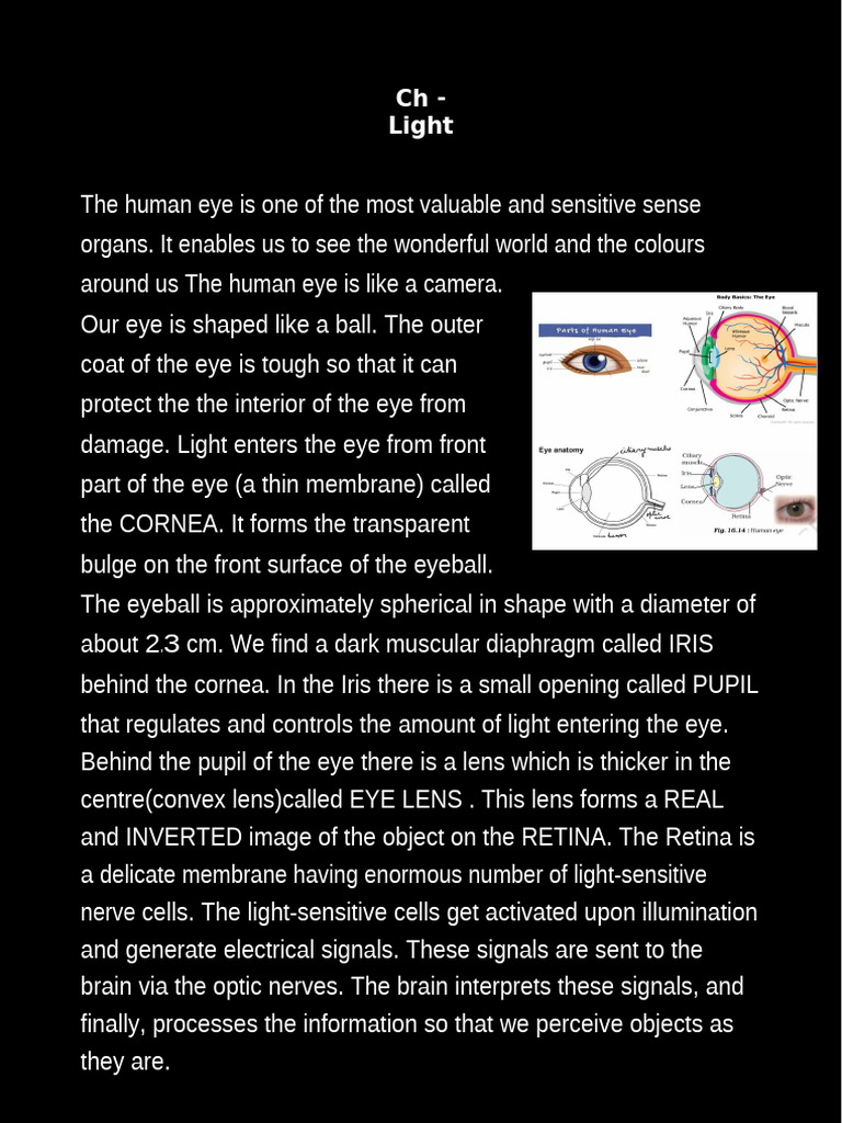 CONLIB_Humaneye_20250219113044 | PDF | Eye | Myopia