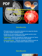 Hallazgos Radiológicos en Neurocisticercosis | PDF | Especialidades ...