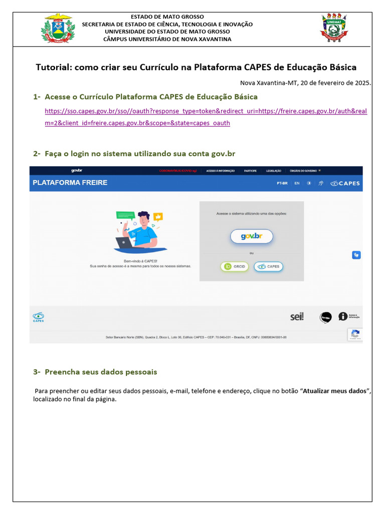 Criando Currículo na Plataforma CAPES | PDF | Universidade