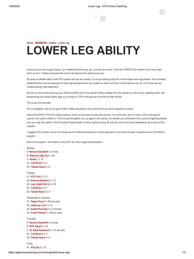 Lower Leg - ATG Online Coaching | PDF | Knee | Musculoskeletal System