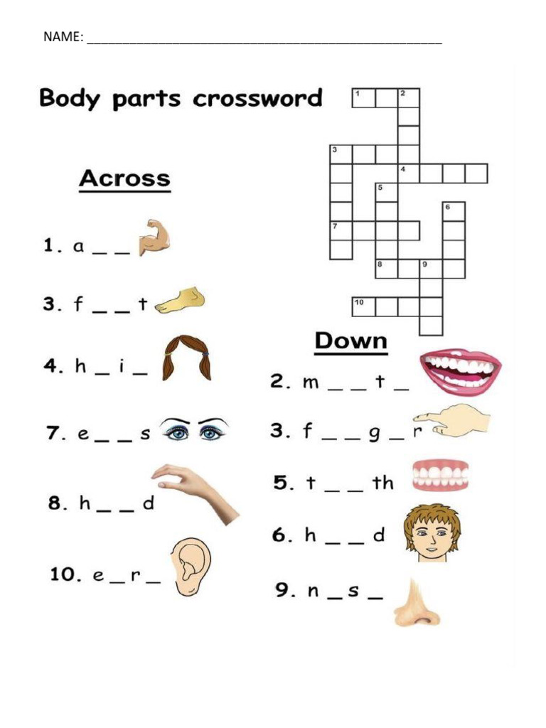 Body Parts - Crossword | PDF