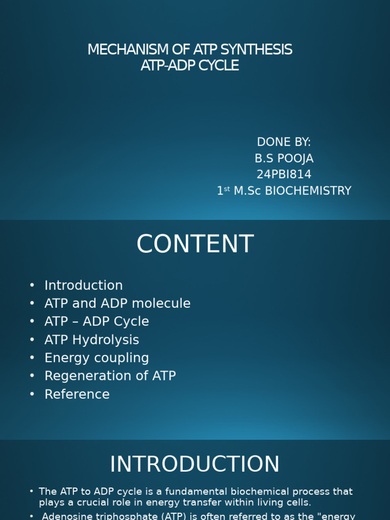ATP TO ADP CYCLE | PDF | Adenosine Diphosphate | Adenosine Triphosphate