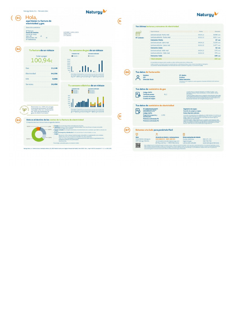 FACTURA NATURGY | PDF