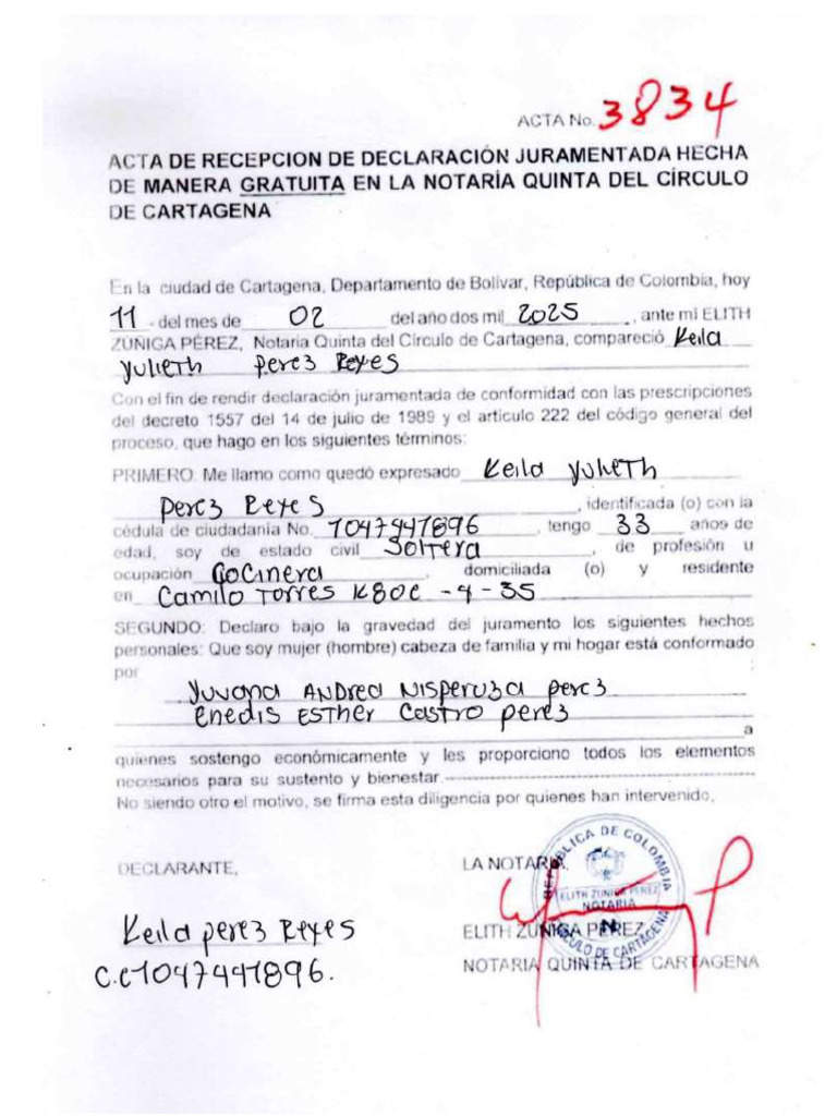 ACTA 2025 ESCANNER | PDF