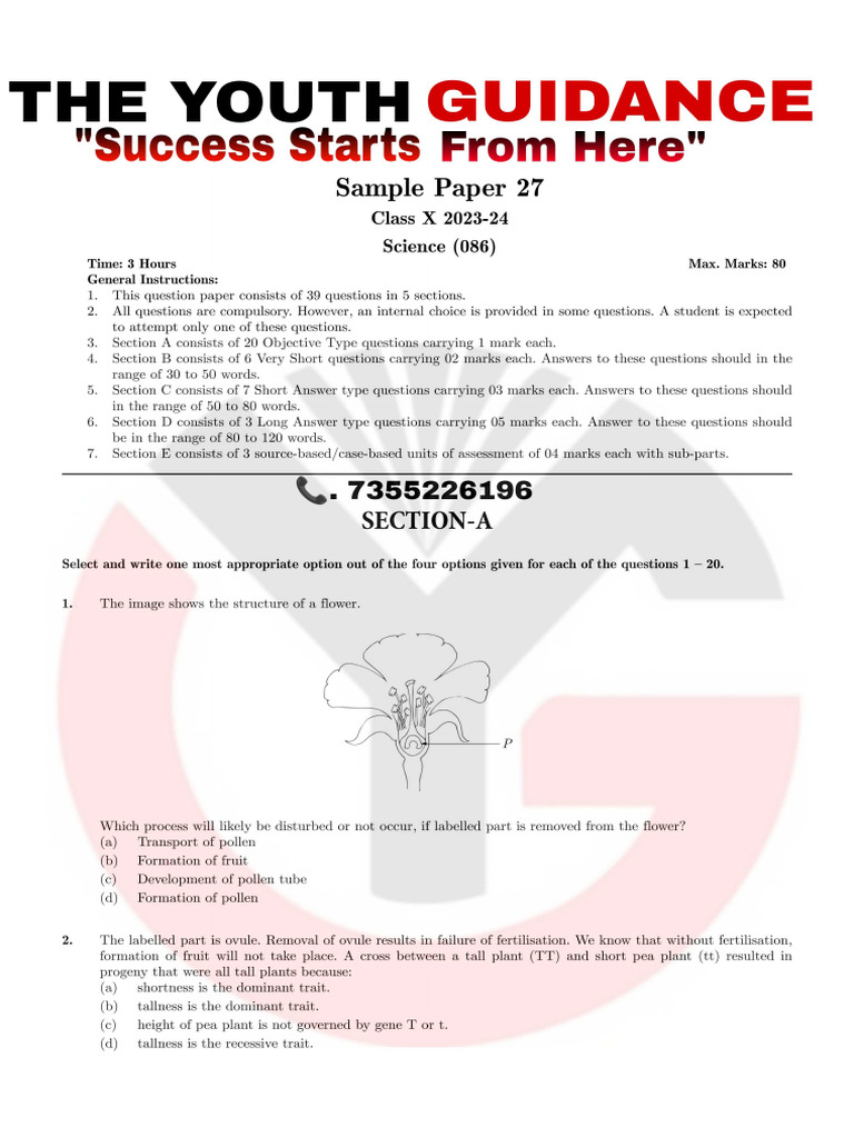 The Youth Guidance (CBSE-10TH) Science Sample Paper | PDF