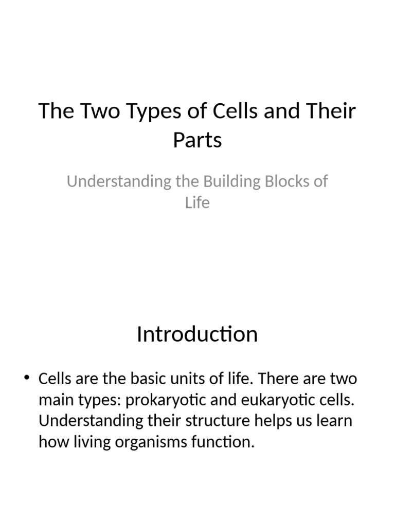 Final Types of Cells Presentation | PDF